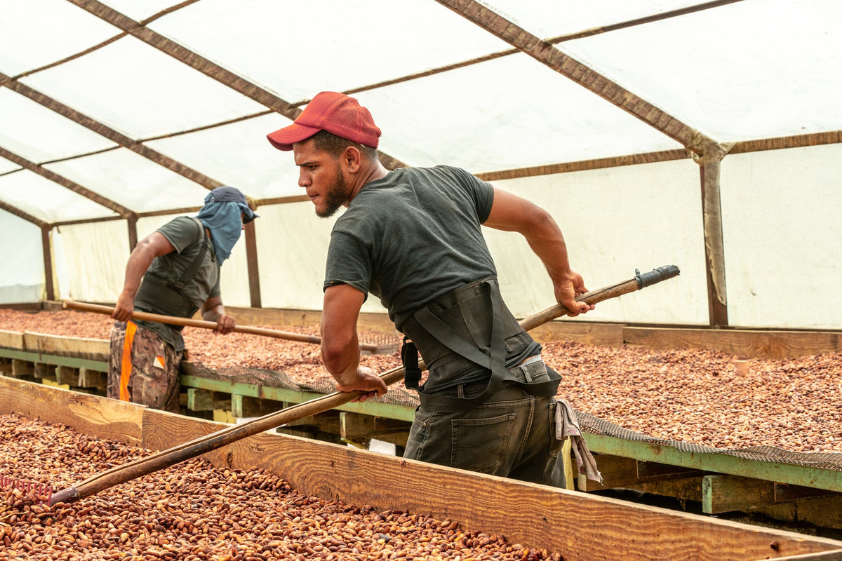 From the Source #02_フランス KAOKA – PAS DE DEUX FACTORY